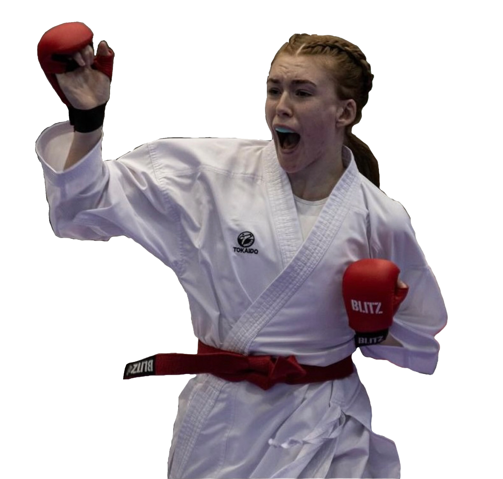 Northern Ireland Karate Board