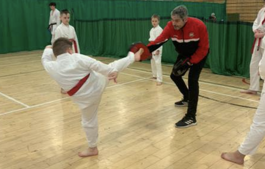 Northern Ireland Karate Board